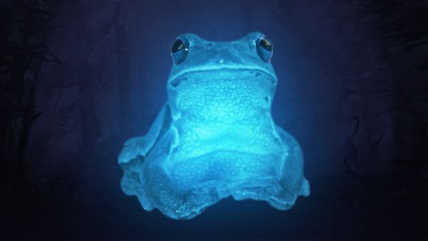 Фанат Dota 2 сделал портрет IceFrog с помощью нейросети