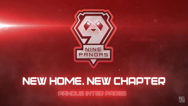 CEO 9Pandas: «Мы стремимся расти вместе с командой и обеспечивать их ...